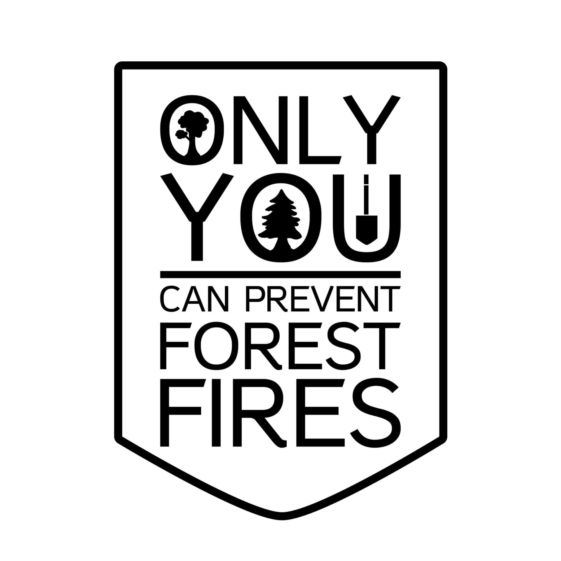 Avoid NC Arson Charges: Learn How to Put Out Fires